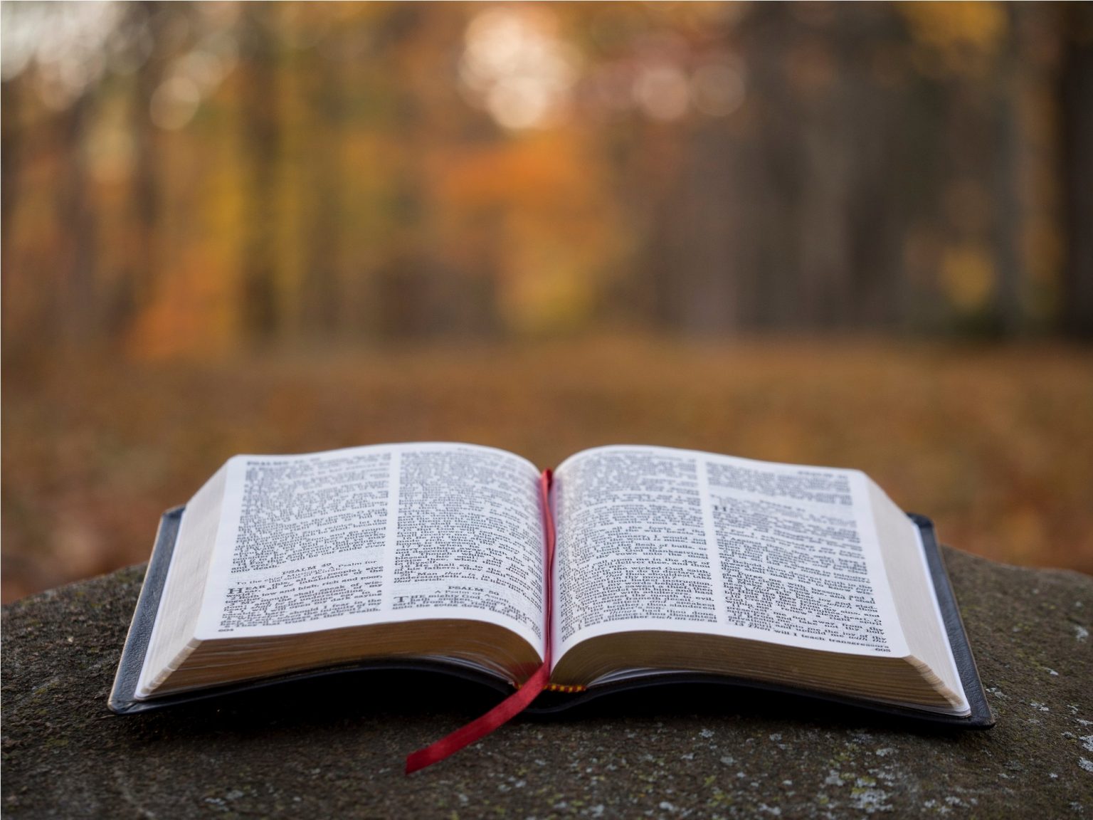 The Benefits Of Christian Counseling Vs Secular Counseling Thousand